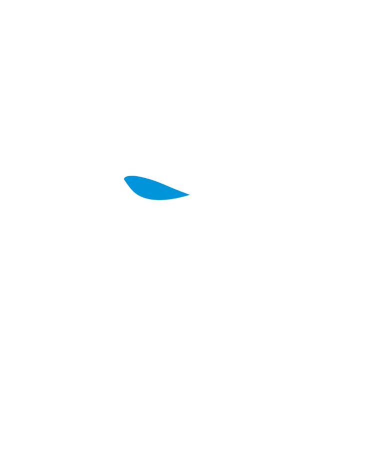 Funcionalidades - Swim Track